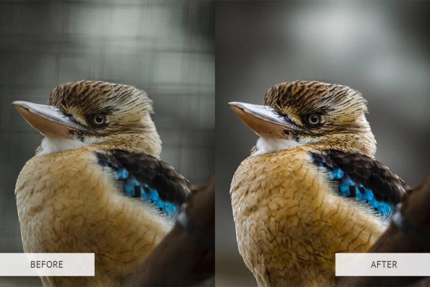 10 Simple Photo Editing Techniques to Make Your WordPress Website Pop