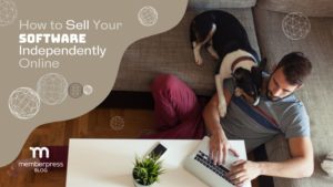 How to Start a Software Business (Sell Software Online) in 6 Steps