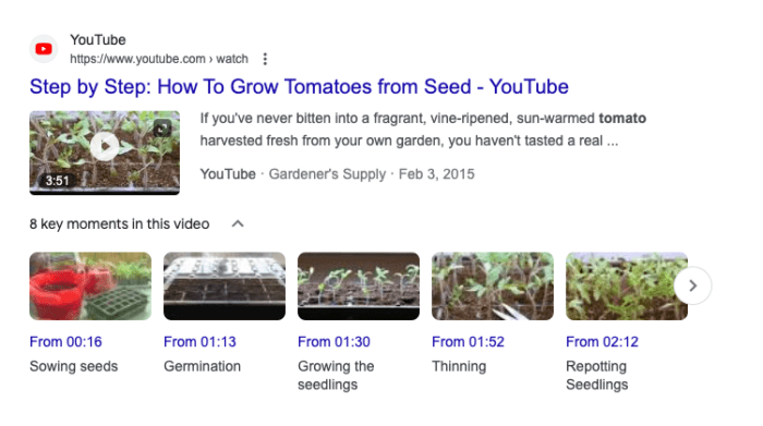 How to Add Schemas to WordPress (Zero Coding Required)