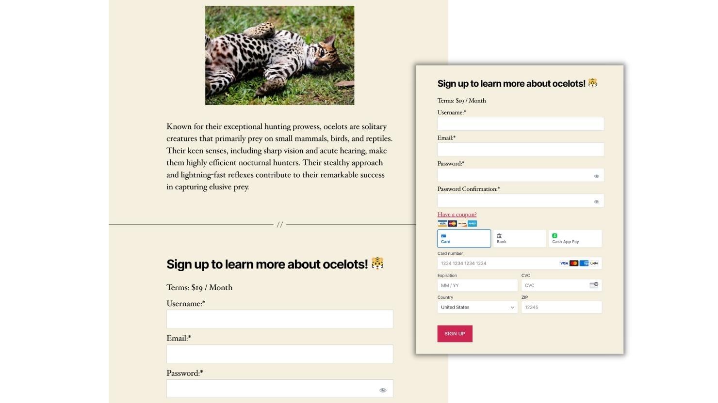 Think INSIDE the Box!📦Meet Gutenberg Membership Blocks for MemberPress